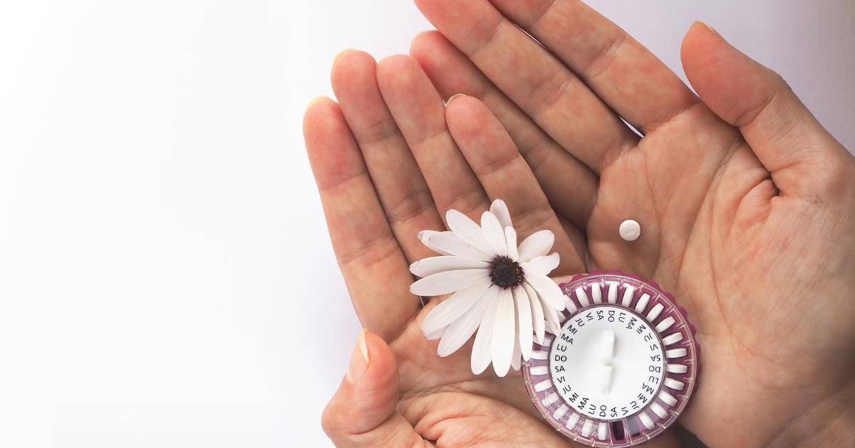 Progesterona Natural: Fontes e Benefícios de Alternativas Naturais ...